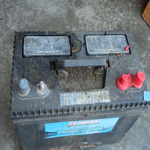 Throwback Auction